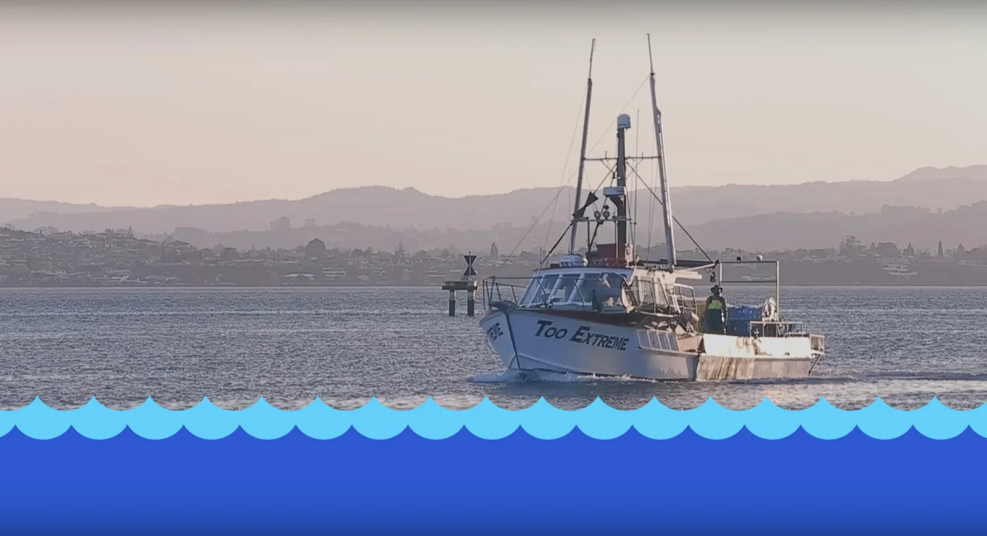 Kiwi Fish | Your premium seafood wholesaler