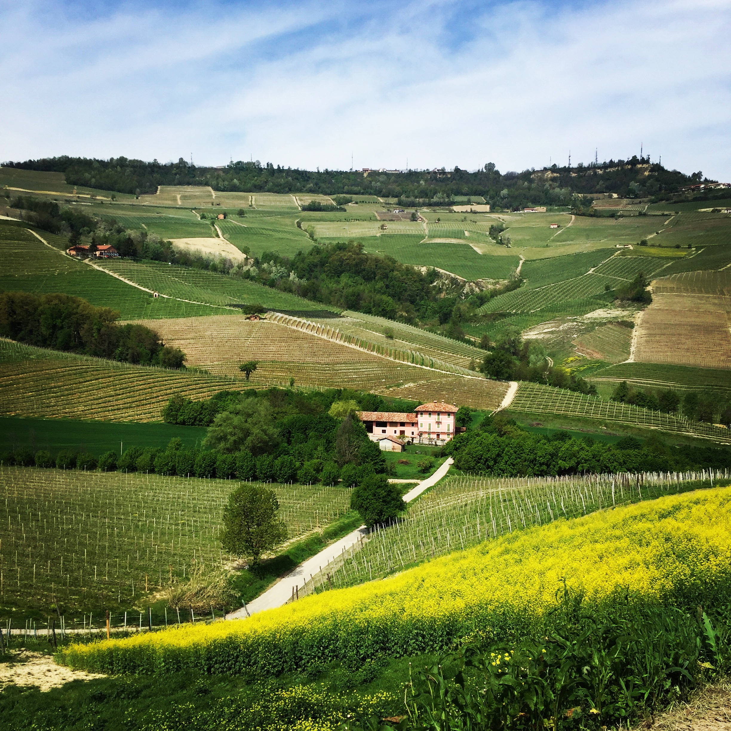 Top 10 things to do in Barolo - where to sleep eat and drink — Amanda's ...