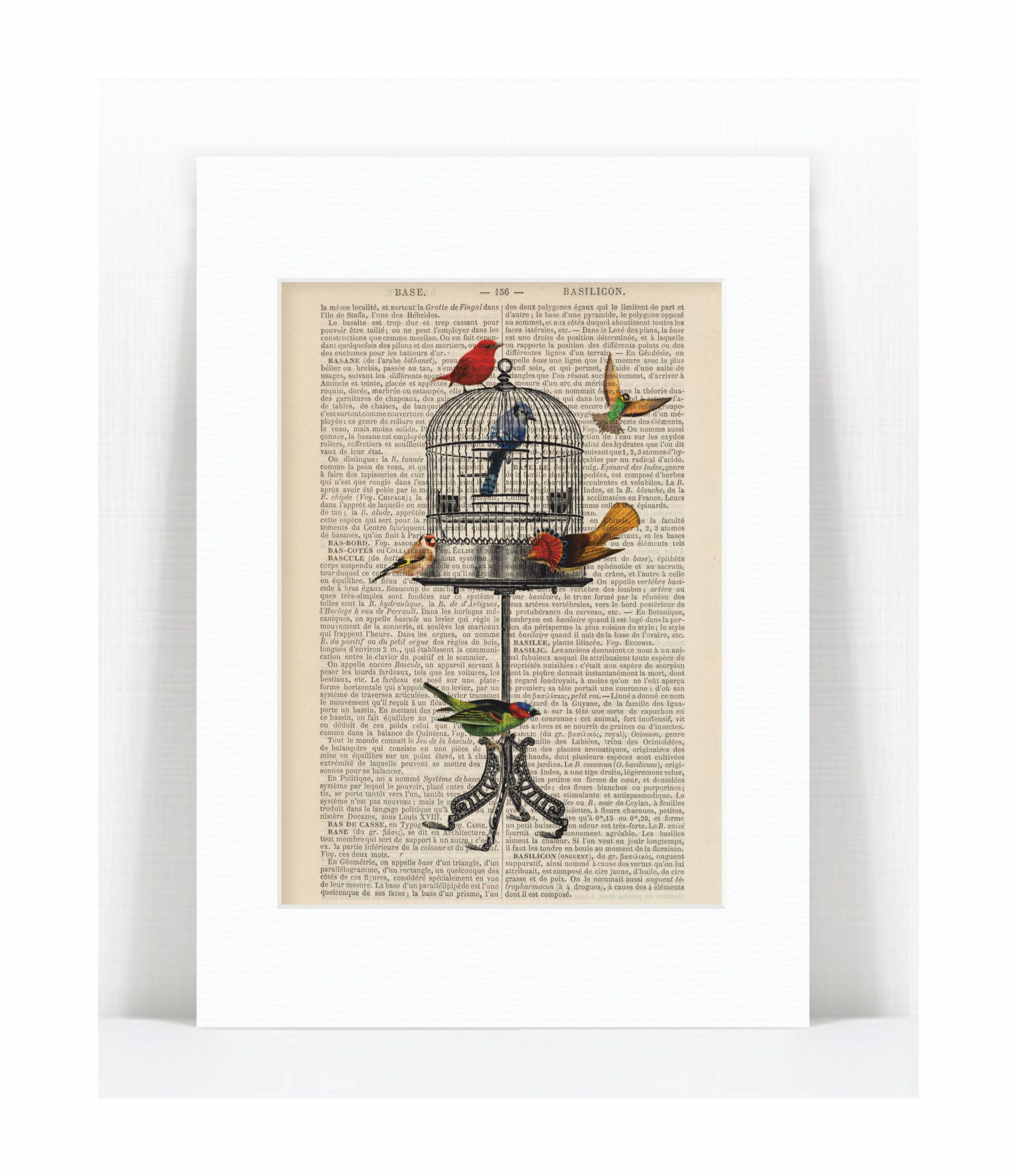 Vintage Bird Cage Art