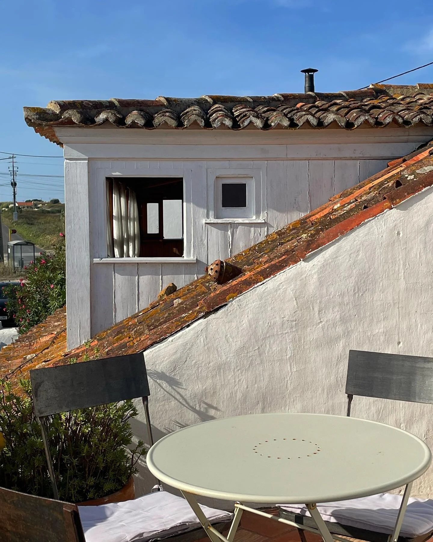 We need you! — Harriet & Rose