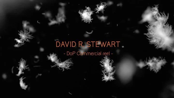 Masters of Linen - Mark Alexander — David Stewart