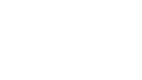 Overview — Sustainable Solutions Corporation