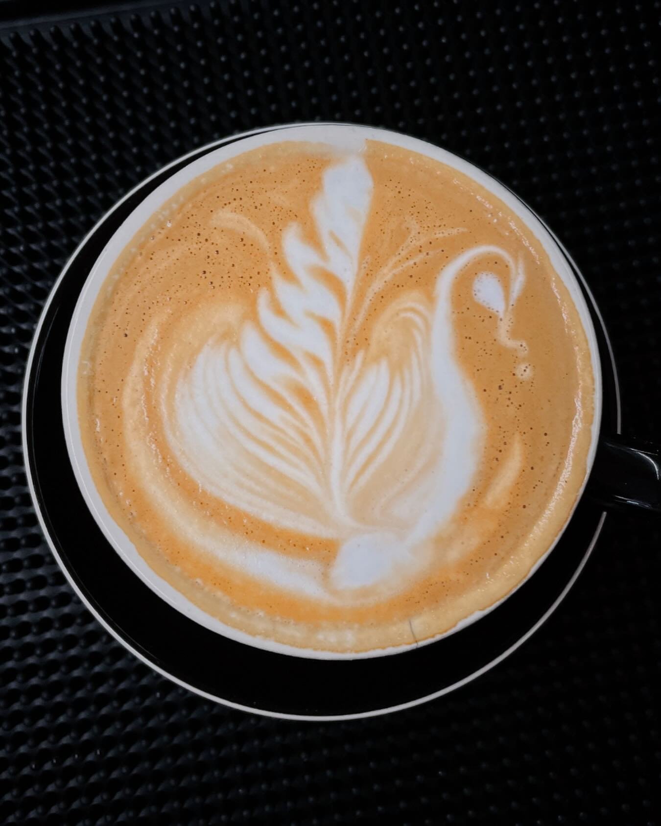 Mexico HG Chiapas - Jade — San Antonio Coffee Roasters: What's Brewing