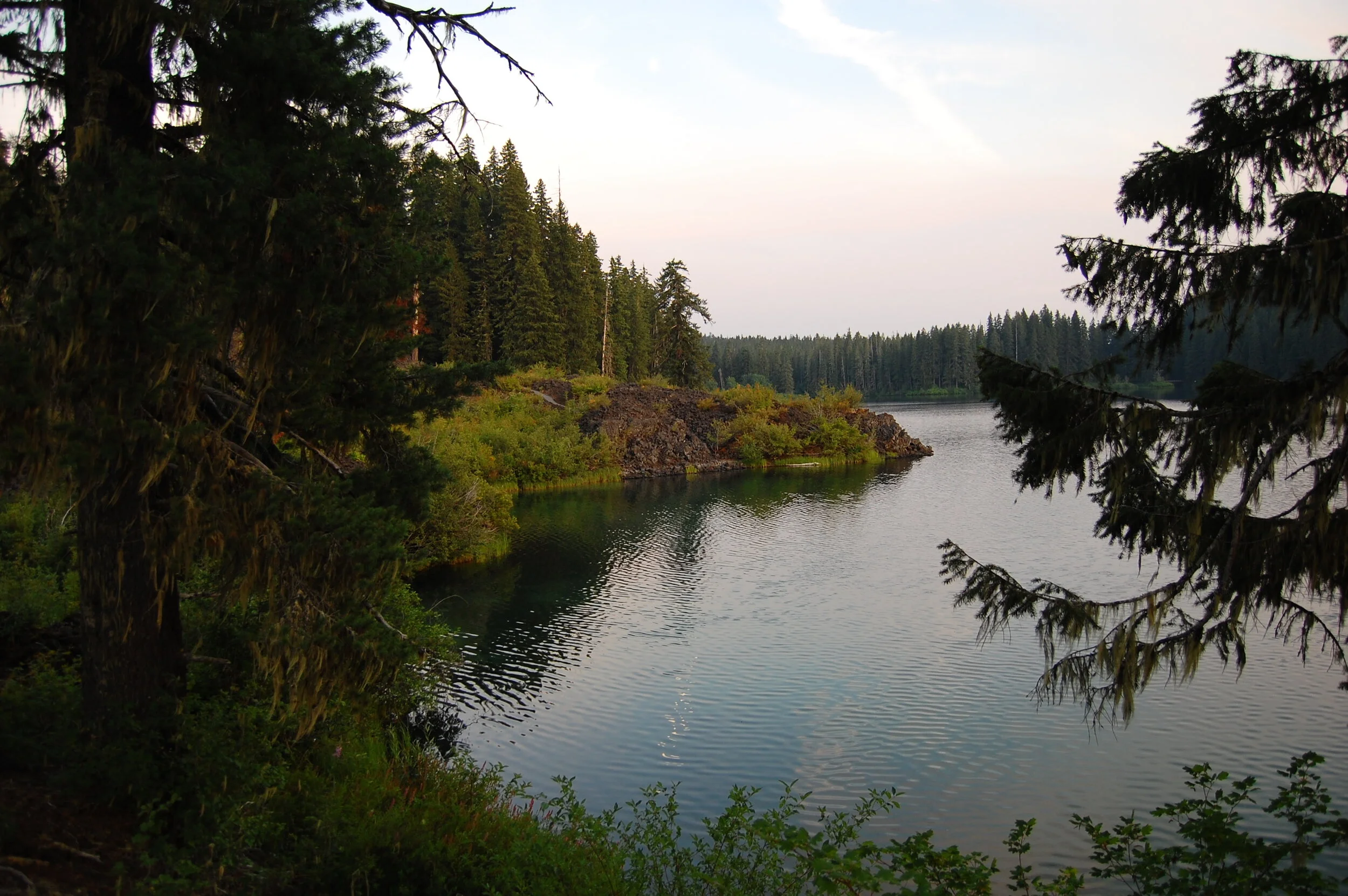 Bulletin Pictures 2020 — Drain Church of Christ