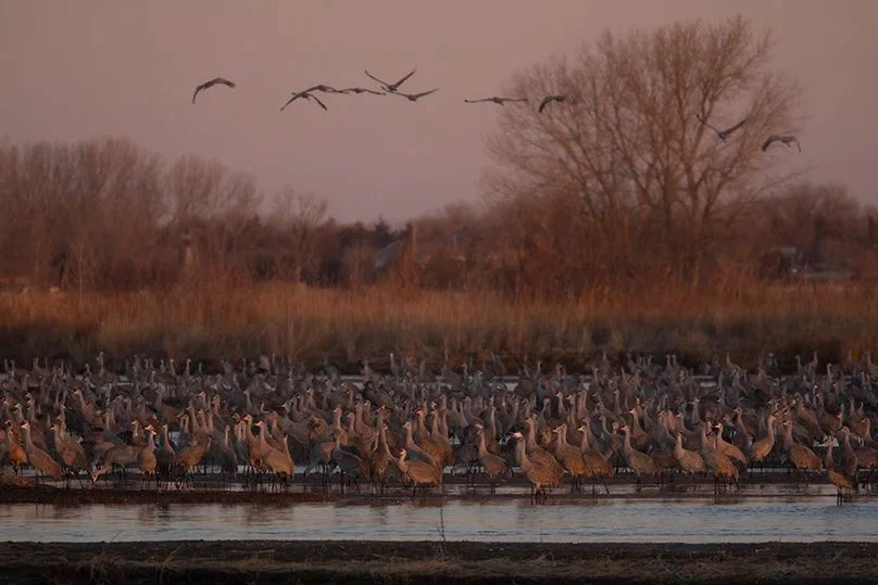 Audubon Secures $750,000 to Advance Conservation and Education Efforts ...