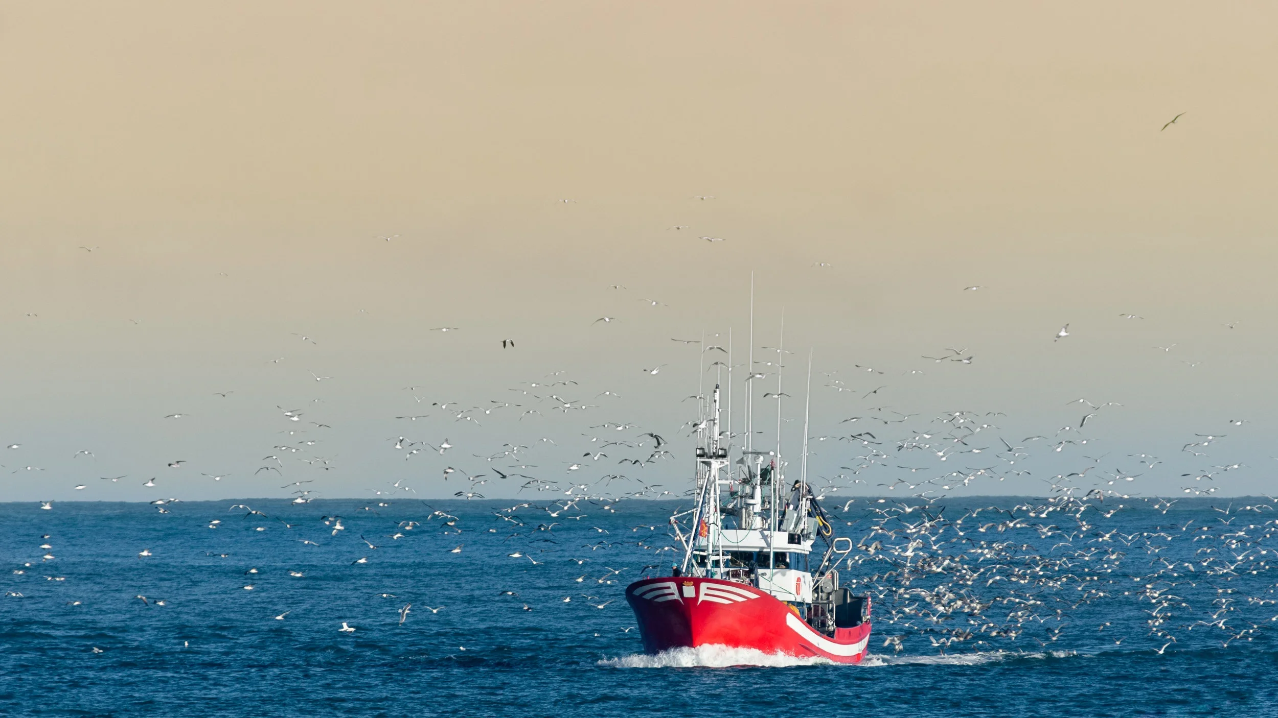 VMS Index — SkyMate