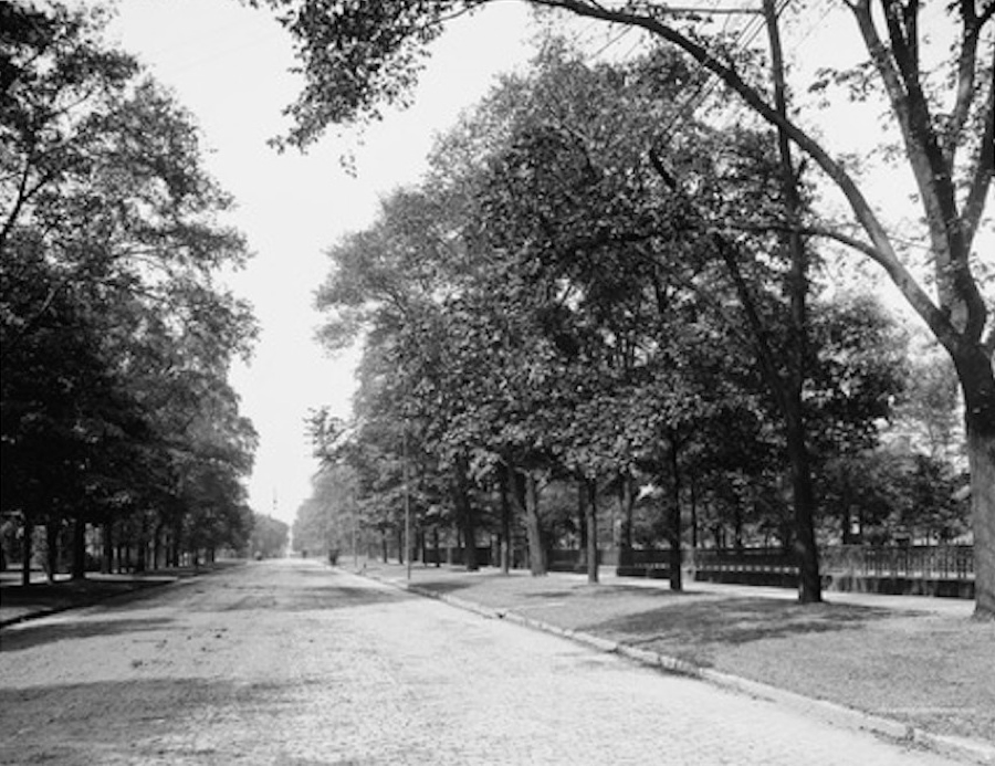 Echoes of a Grand Age: Cleveland’s Vanished Euclid Avenue — Zsolt Bognár