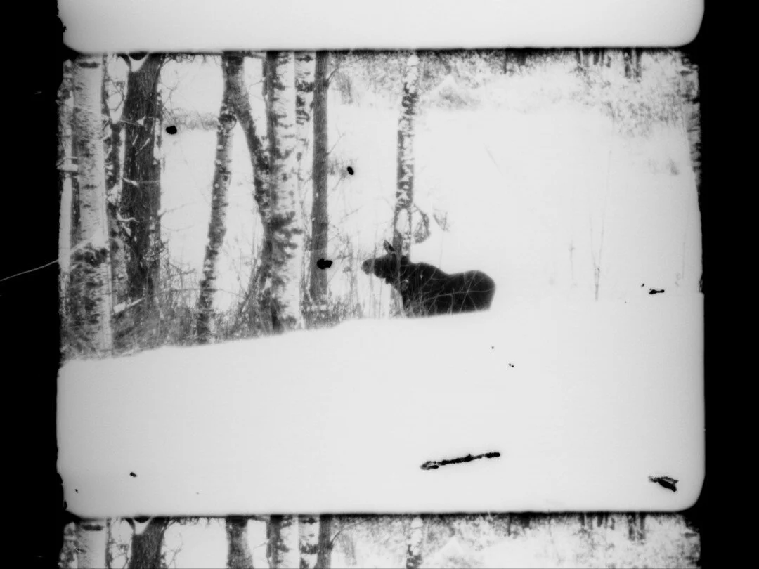 Frame Discreet | 4K Film Scanning & Restoration