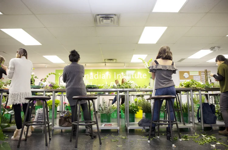 Canadian Institute of Floral Design: Professional Floral Design School