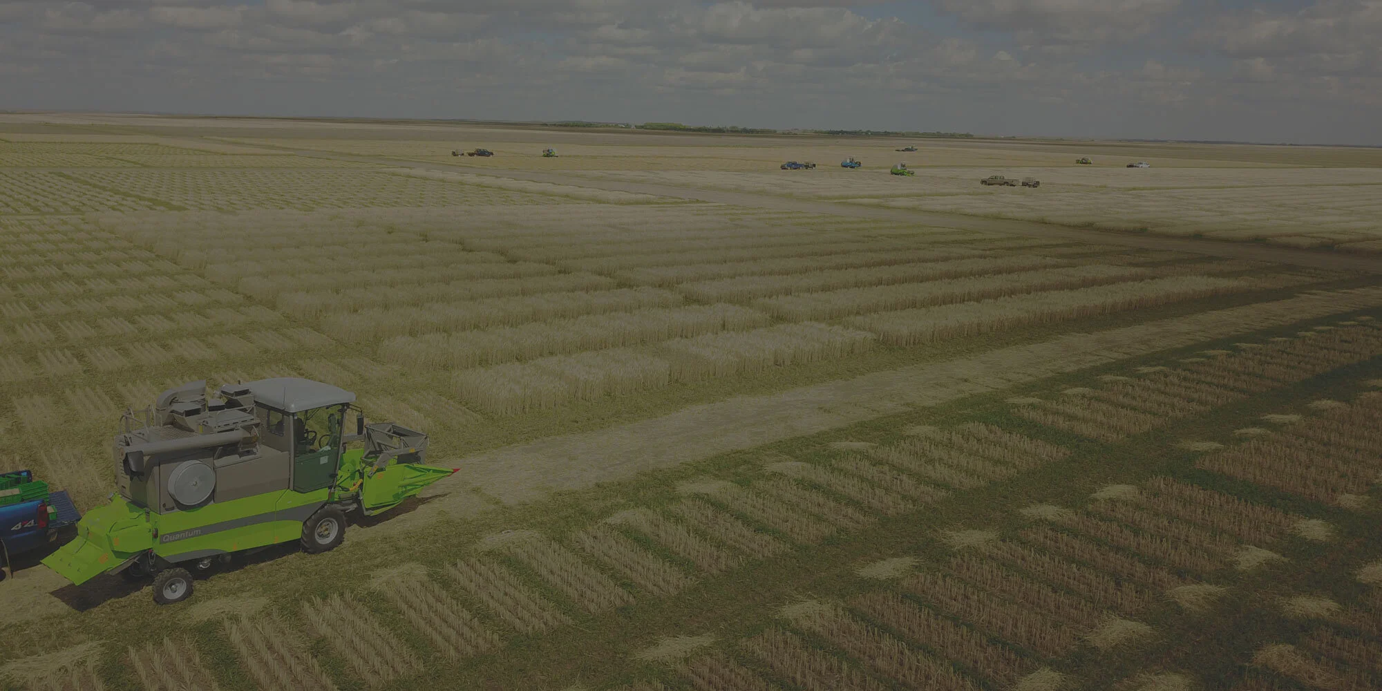 Sask Wheat Development Commission