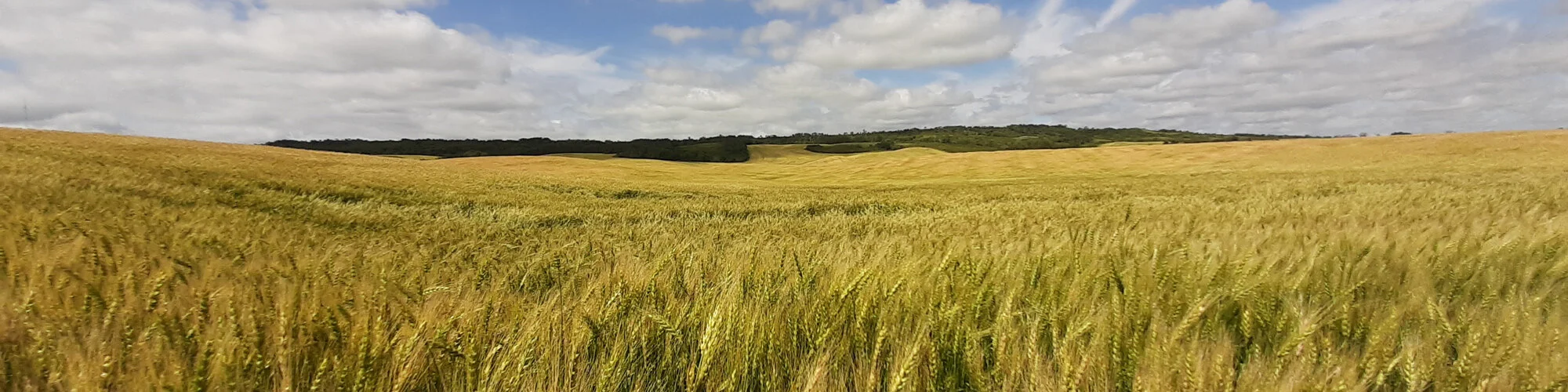 Events — Sask Wheat Development Commission