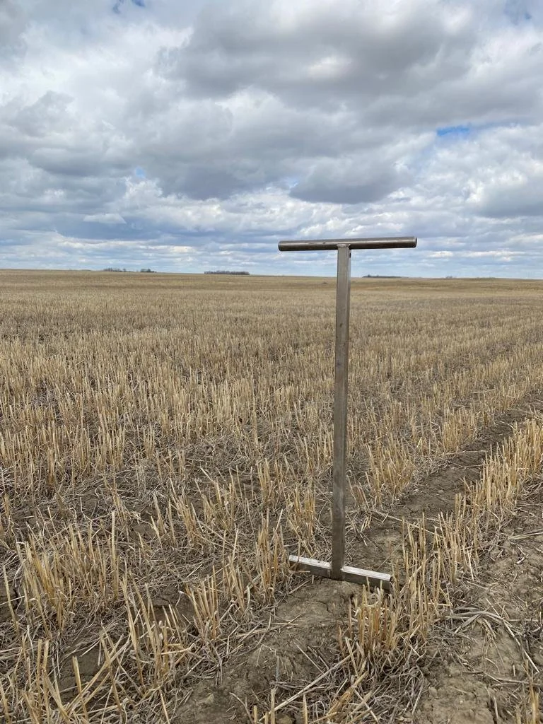 Wheat Wise — Sask Wheat Development Commission