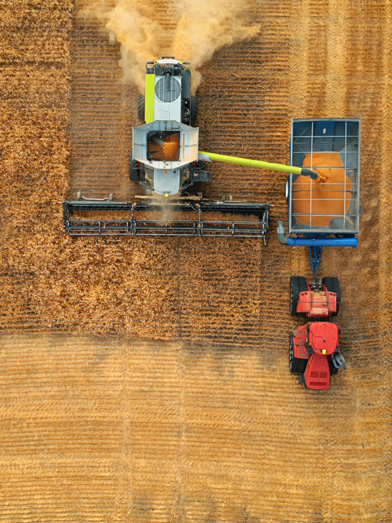 Wheat Wise — Sask Wheat Development Commission