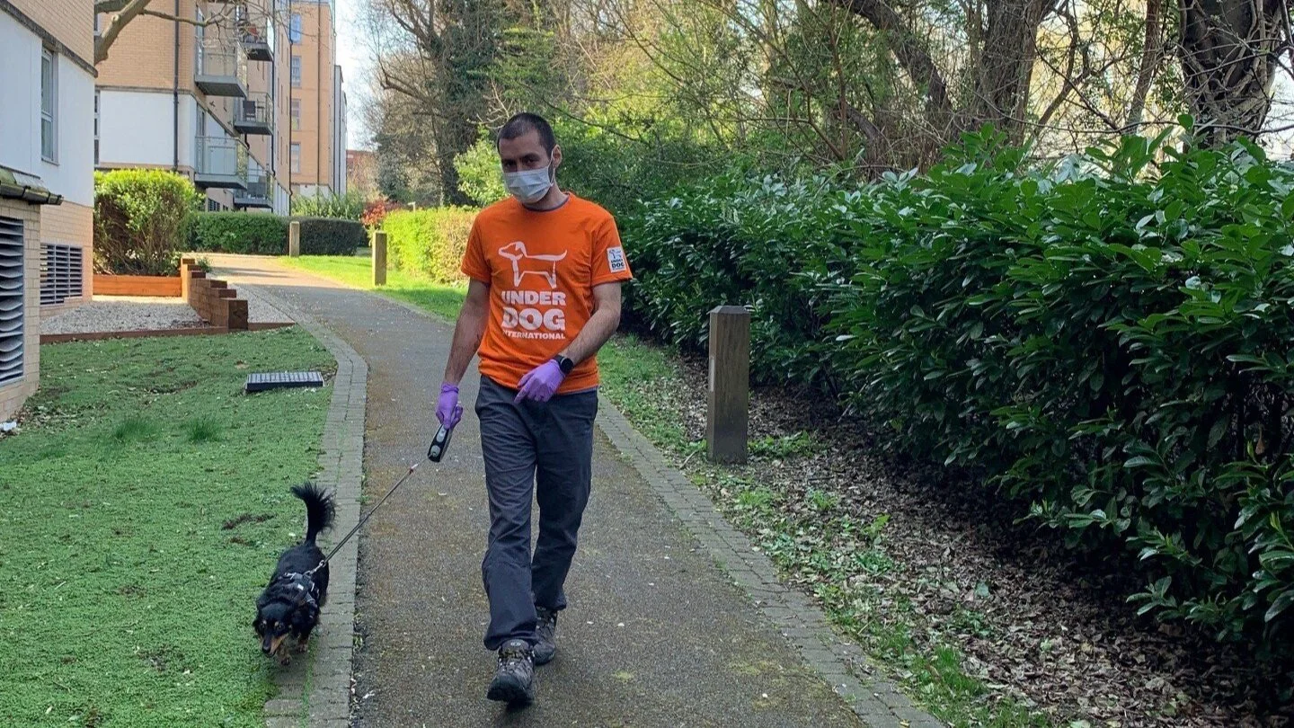 Underdog International