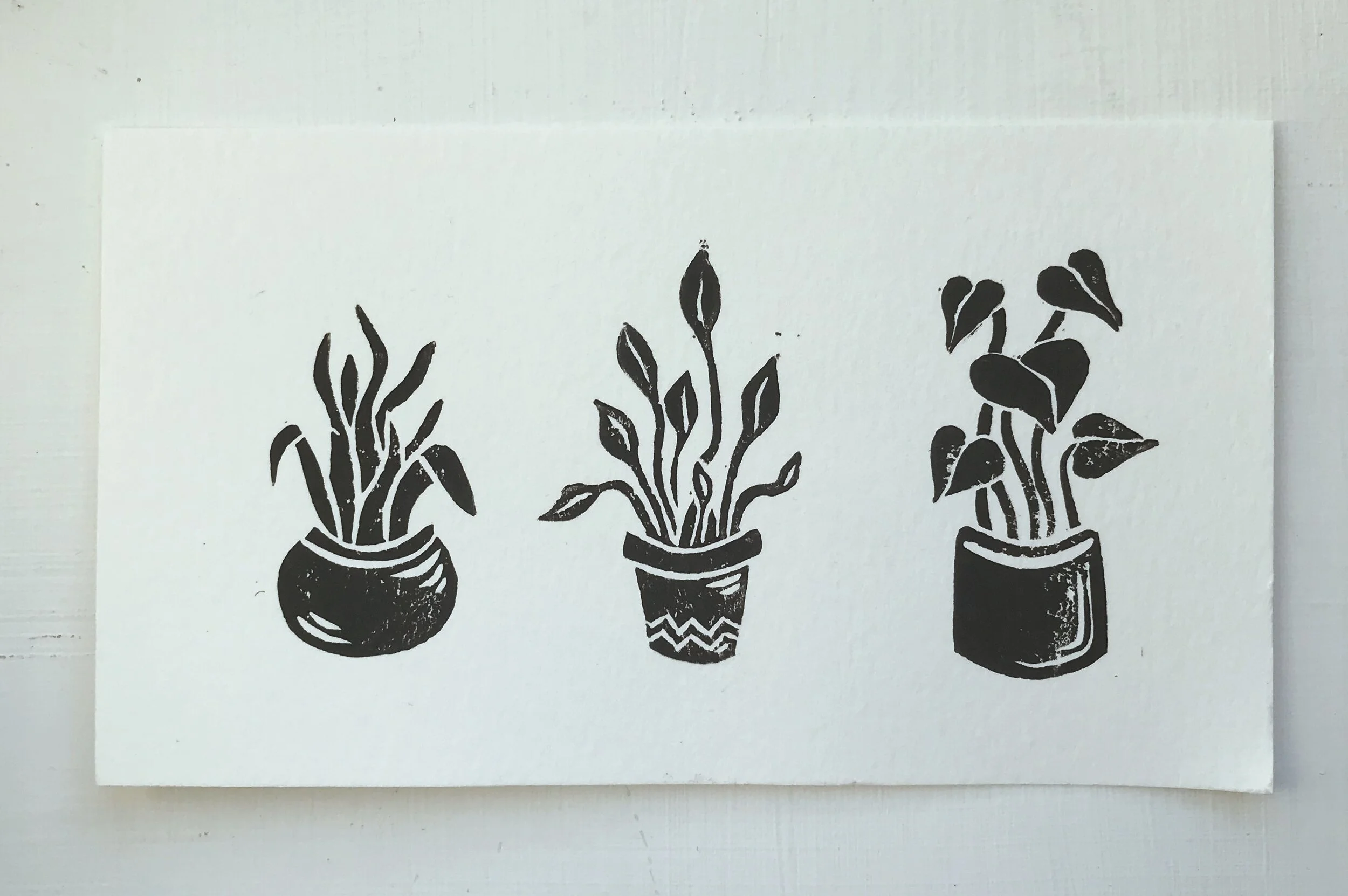 Printmaking — Grace Jandrell