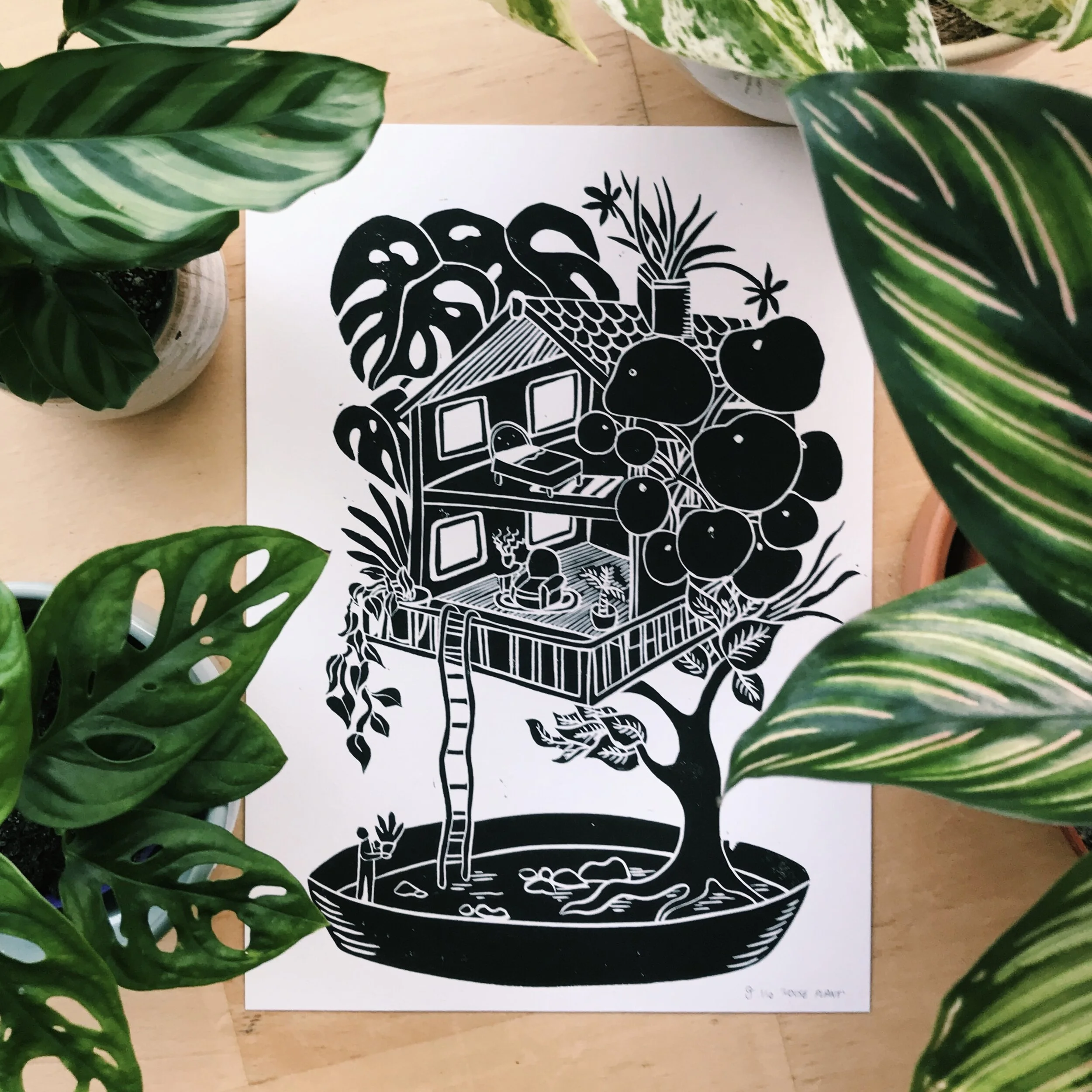 Printmaking — Grace Jandrell