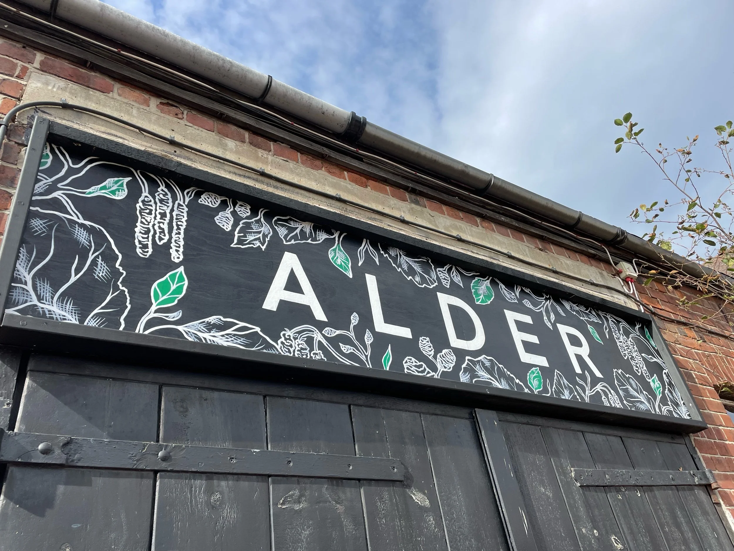 Alder Bar — Grace Jandrell