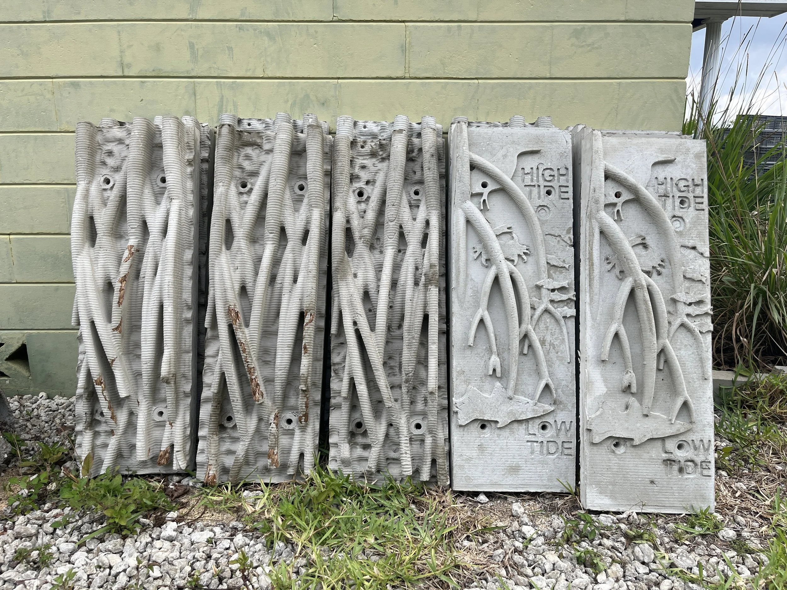 Mangrove Reef Walls Designed to Help with Shoreline Sustainability ...