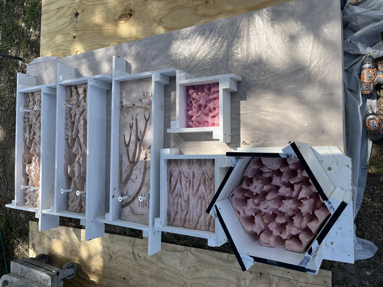 Mangrove Reef Walls Designed to Help with Shoreline Sustainability ...