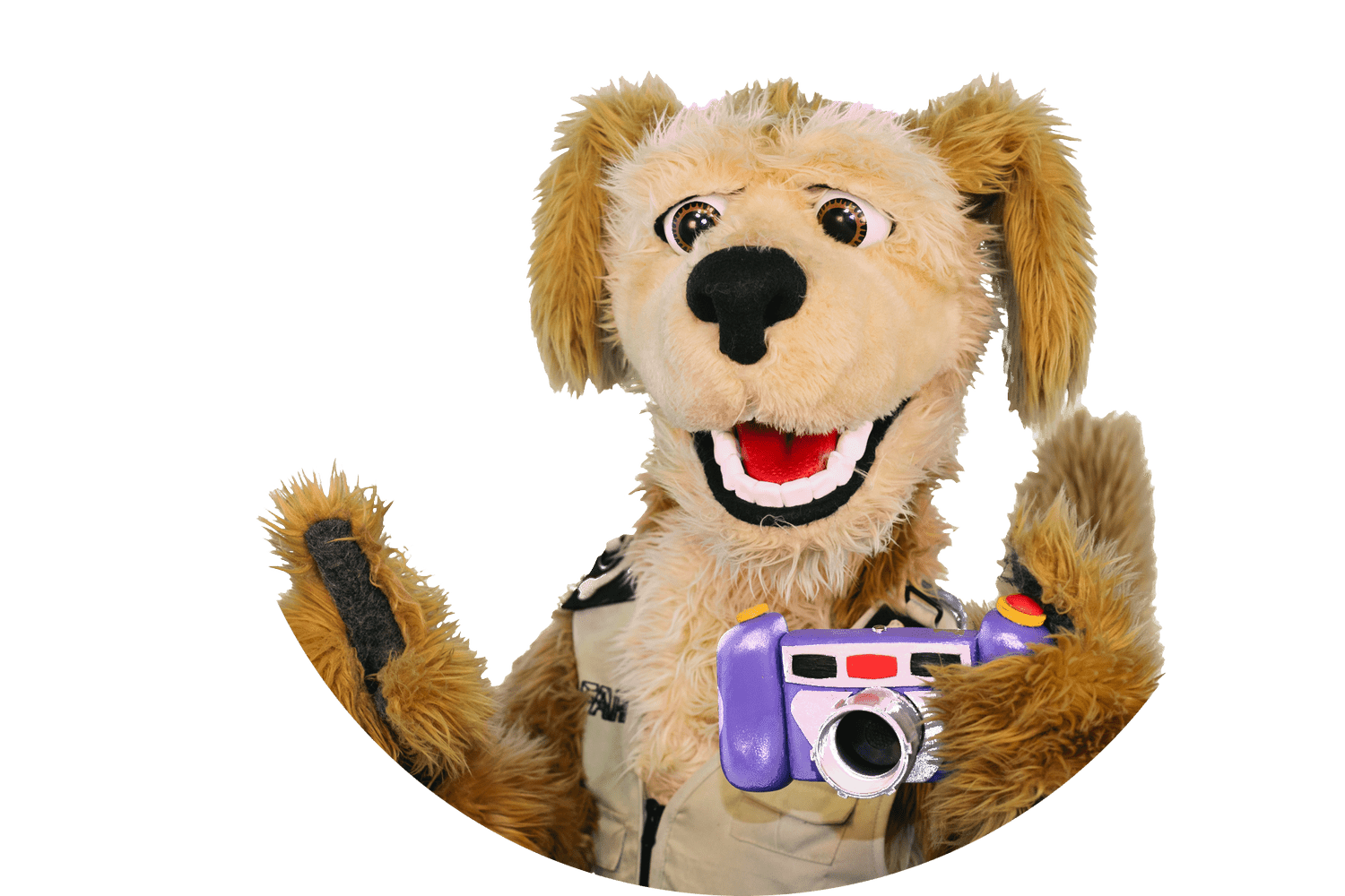 Zoomoo's Puppets | Explore Puppet Magic — ZooMoo