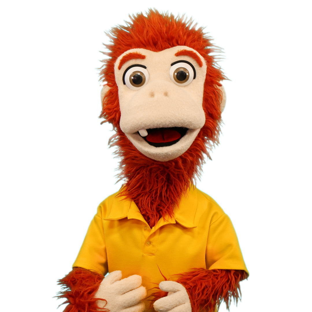 Zoomoo's Puppets — ZooMoo