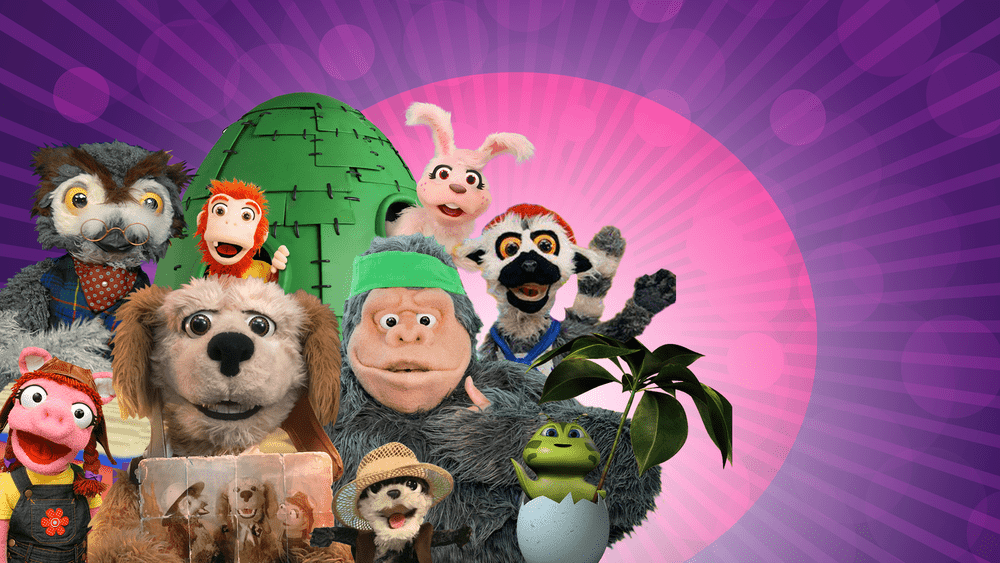 Zoomoo's Puppets | Explore Puppet Magic — ZooMoo