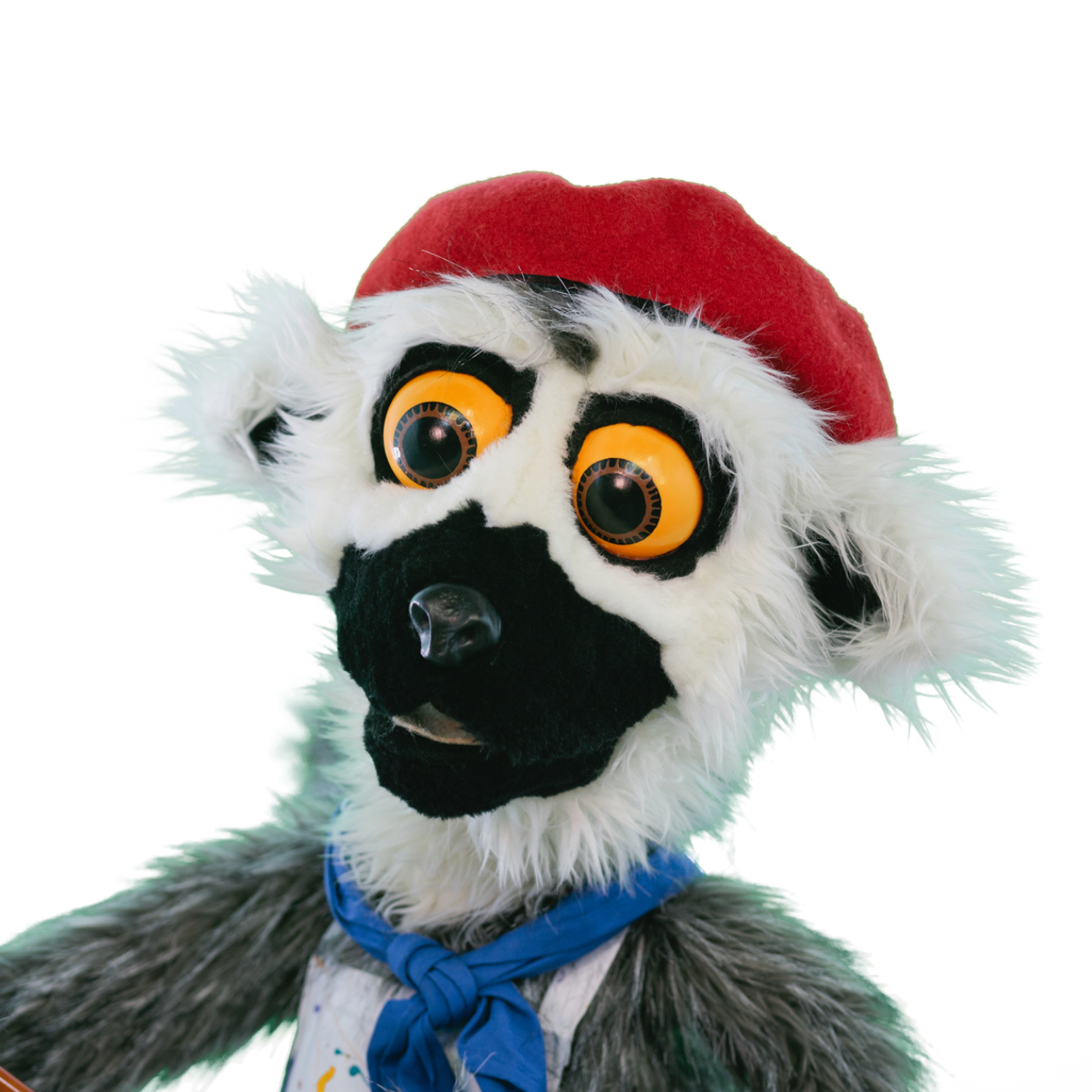 Zoomoo's Puppets | Explore Puppet Magic — ZooMoo