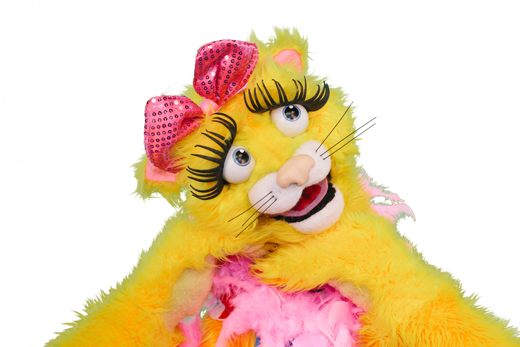 Zoomoo's Puppets — ZooMoo
