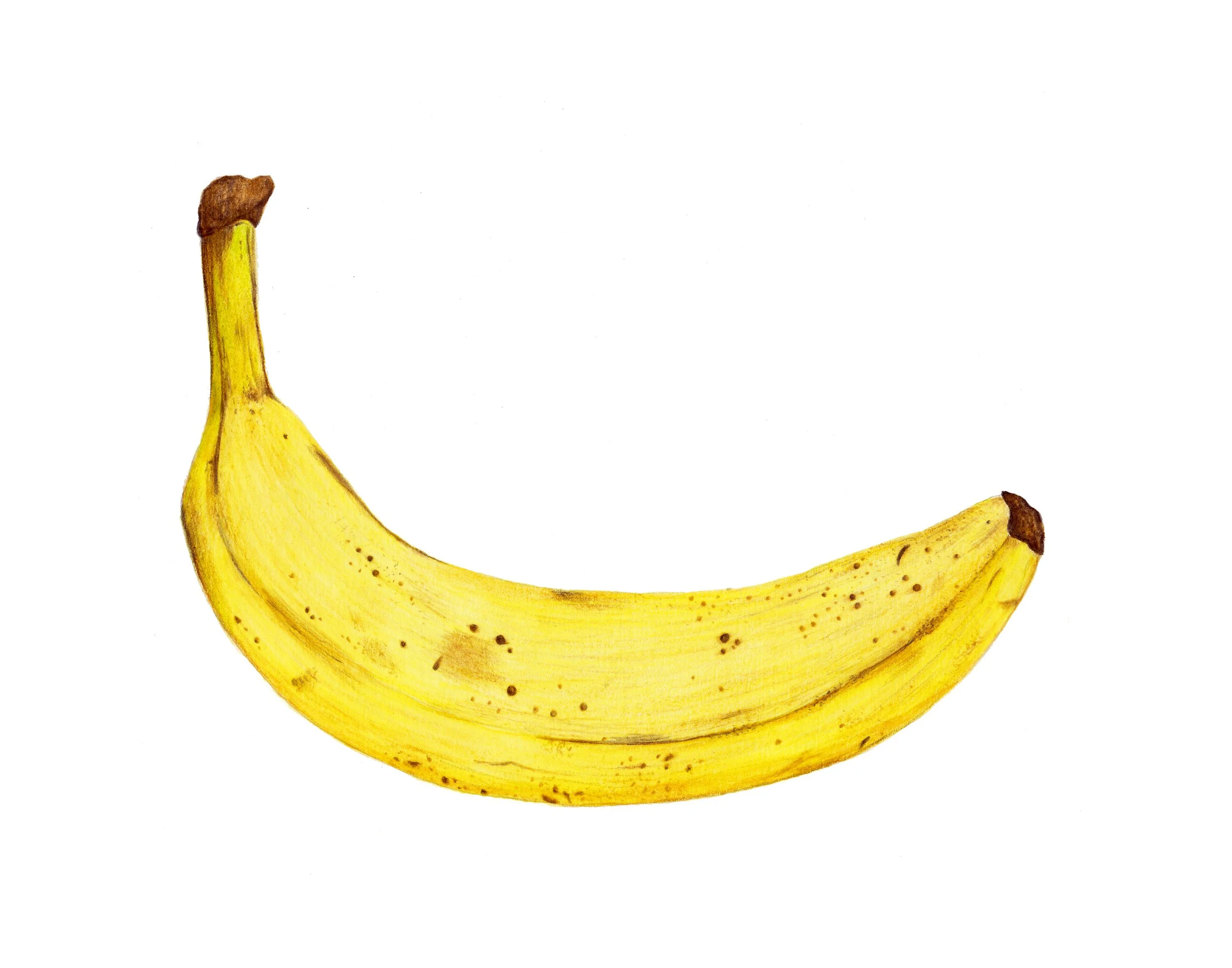 AllFruits — Ashley Amburgey