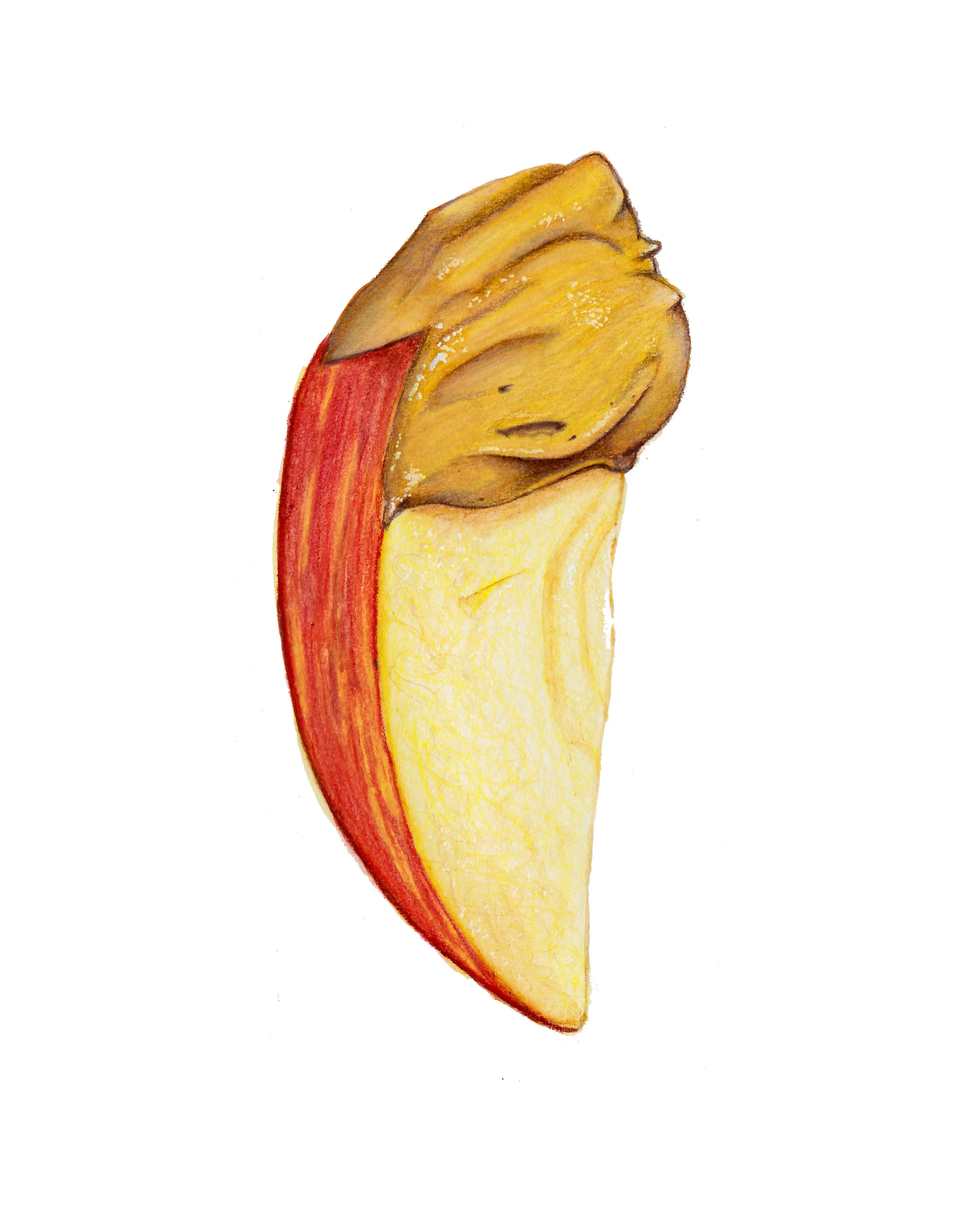 AllFruits — Ashley Amburgey