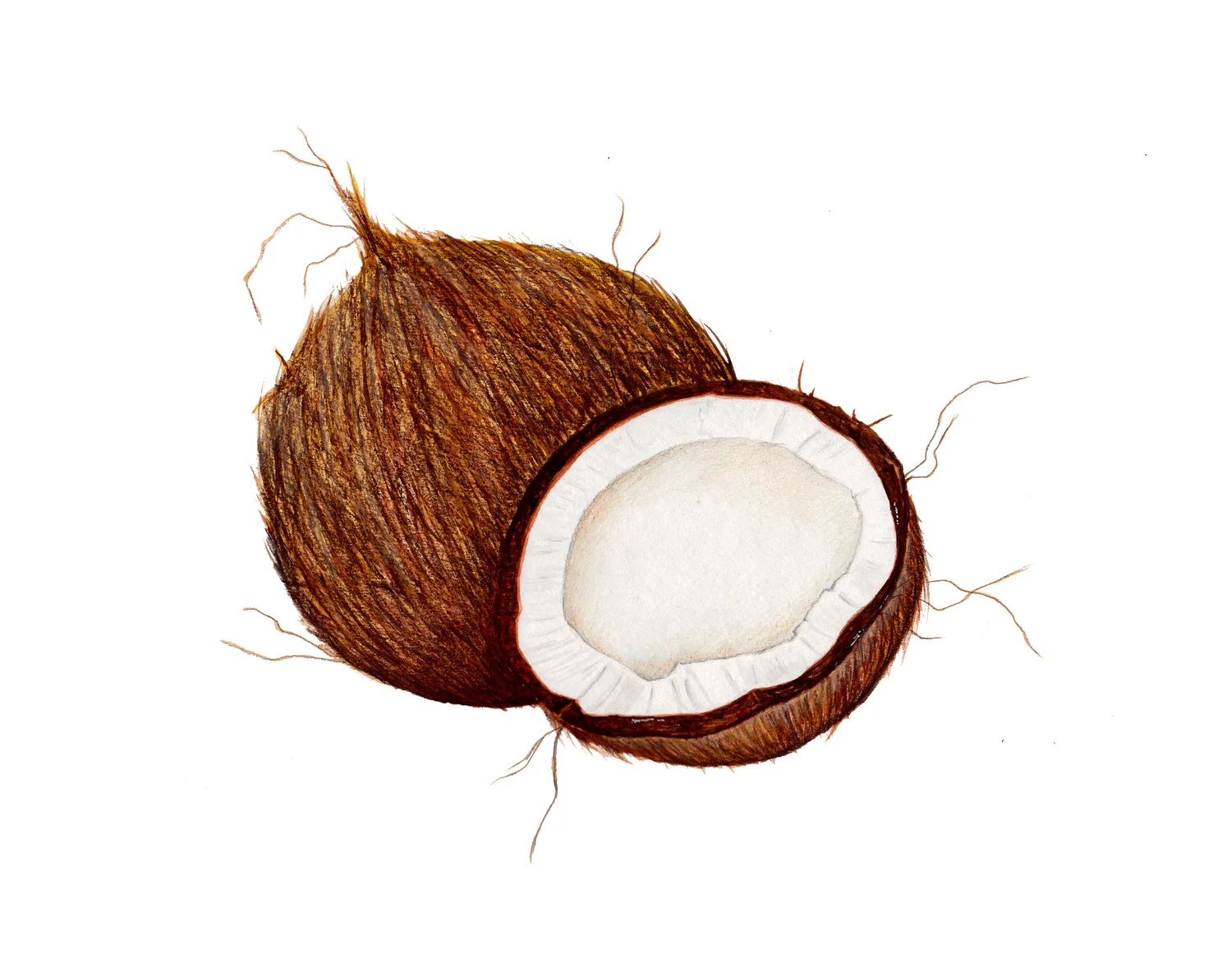 AllFruits — Ashley Amburgey