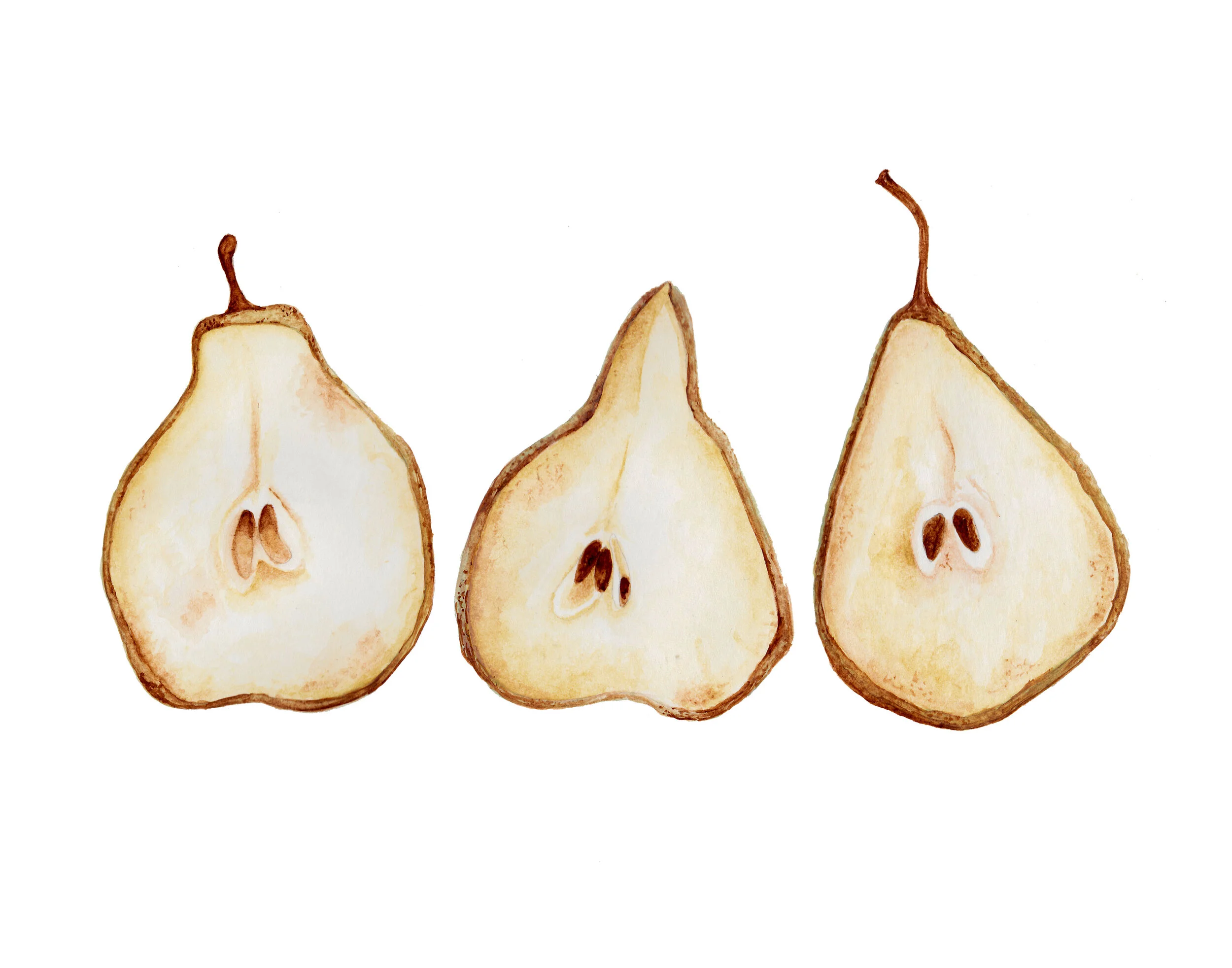 AllFruits — Ashley Amburgey