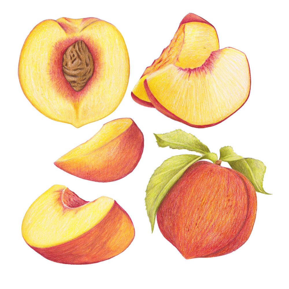 AllFruits — Ashley Amburgey