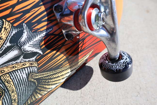 Powell Peralta Pro Andy Anderson Heron Flight RUST COMPLETE ...
