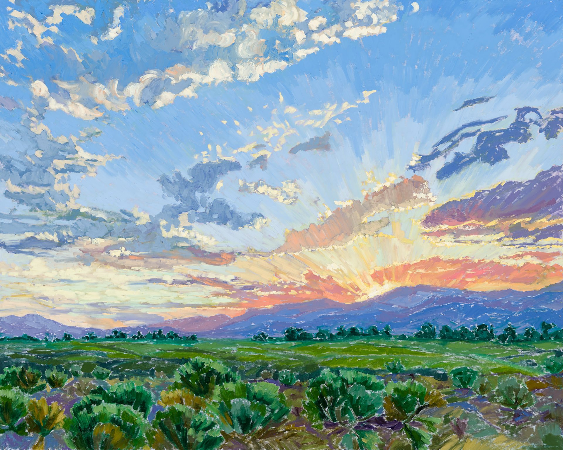 JASON NELSON GALLERY