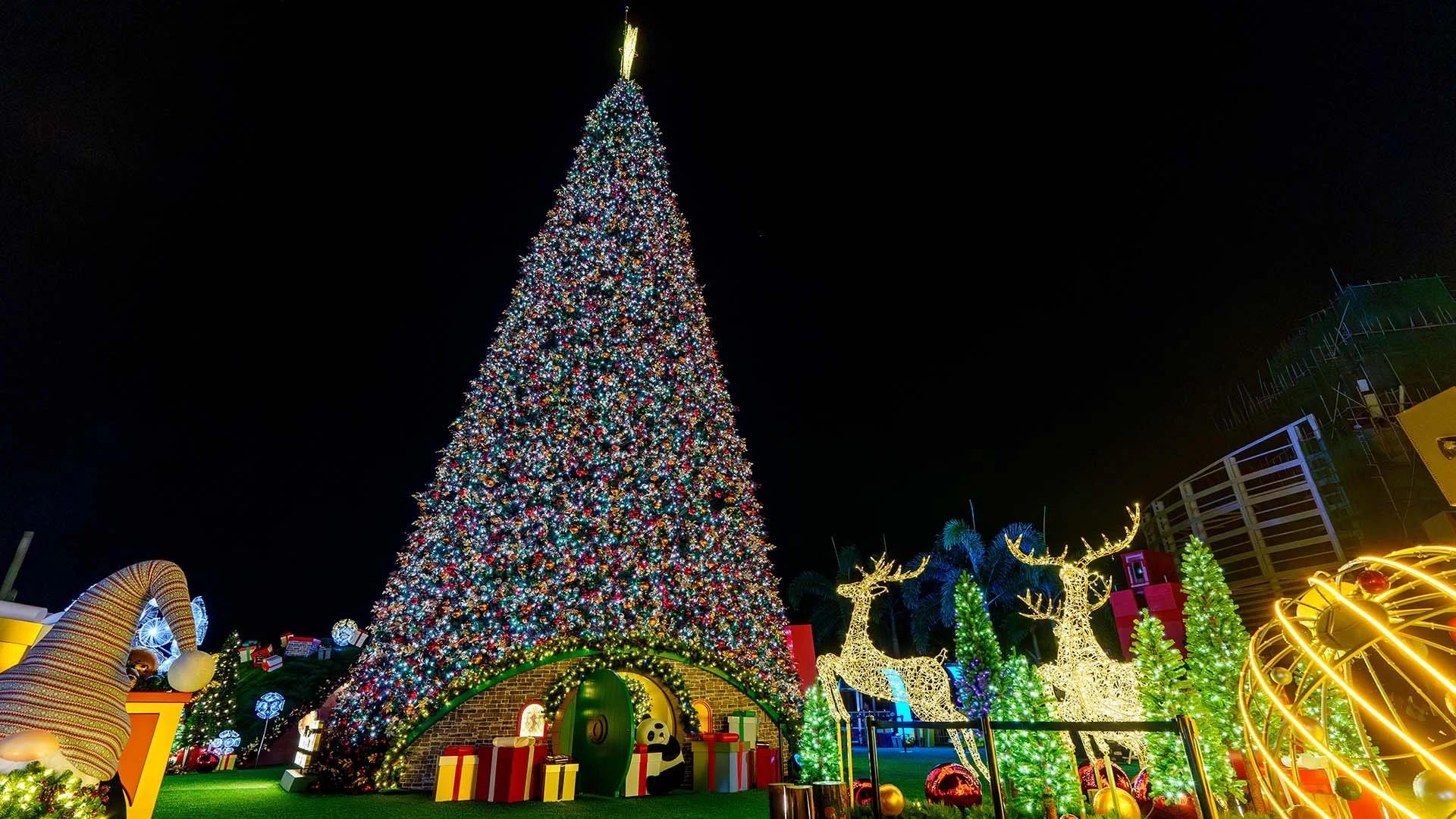 Things to Do in Hong Kong This December — Hello! Hong Kong