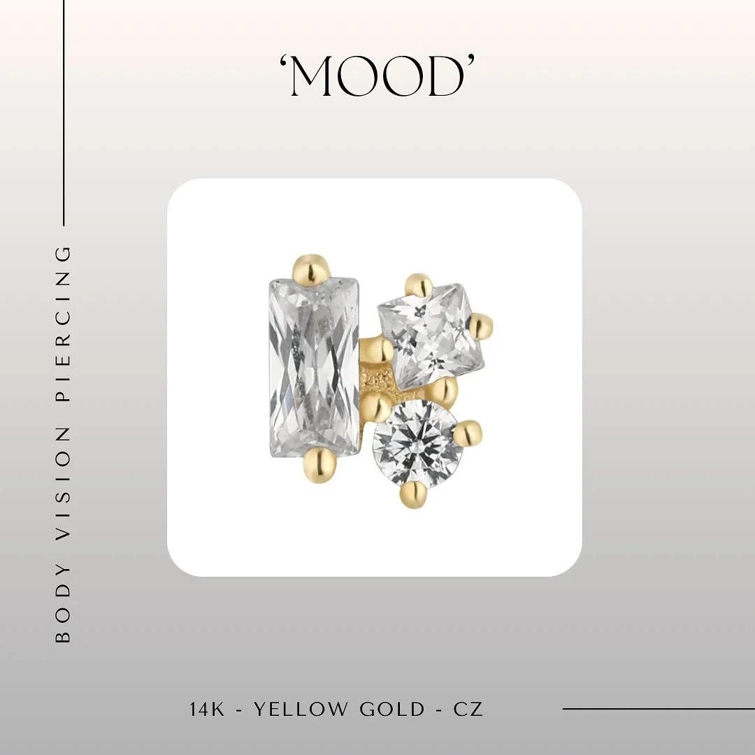 Body Vision Piercing