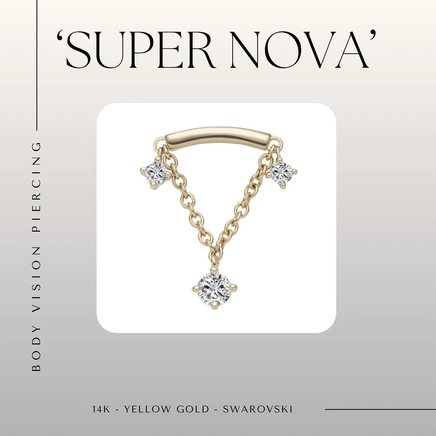 Book Your Appointment — Body Vision Piercing