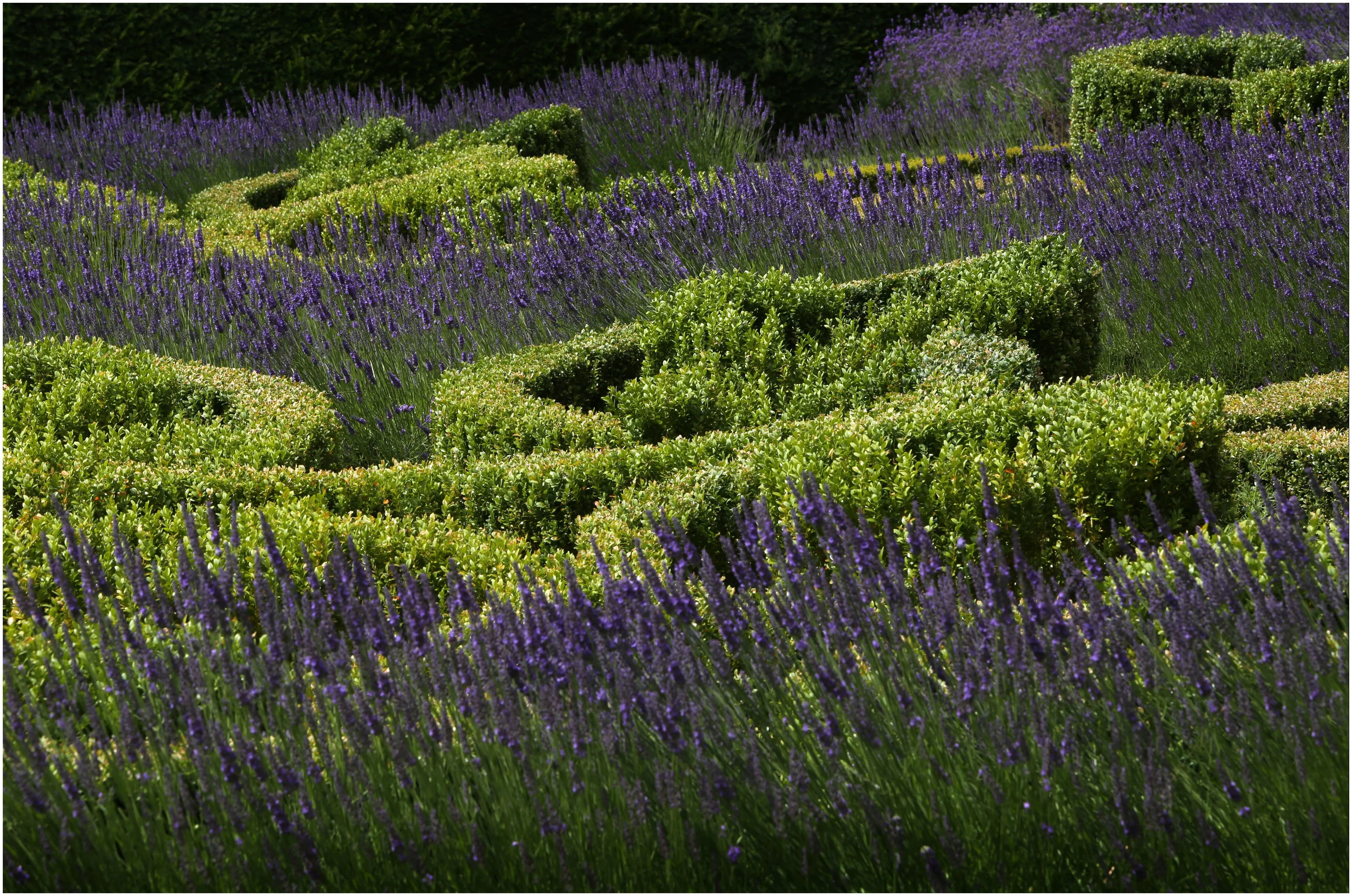 Richard Miers Garden Design