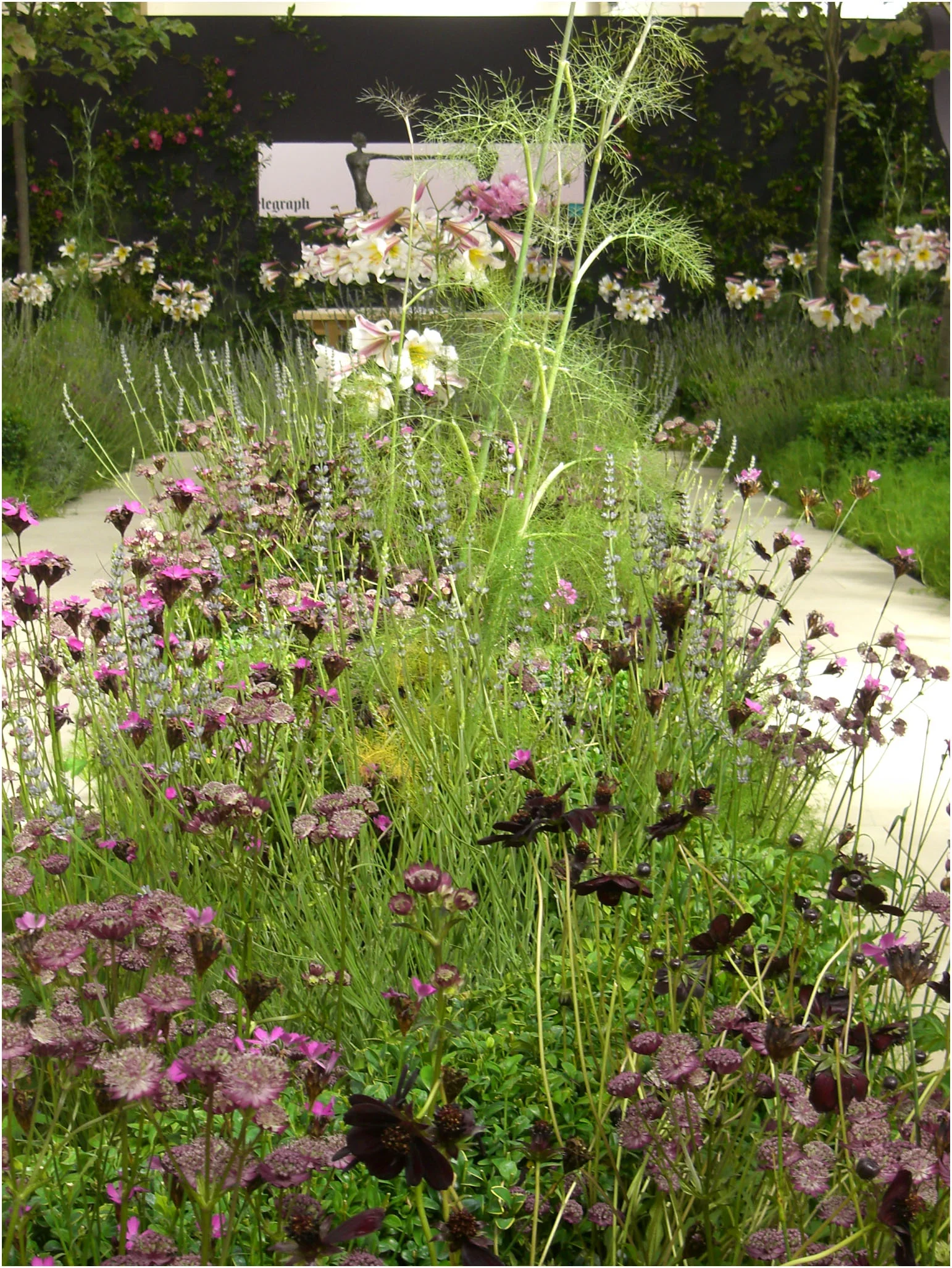 Richard Miers Garden Design