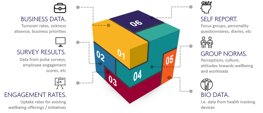 Your next Wellbeing Audit. Seven things to look for when choosing yours ...