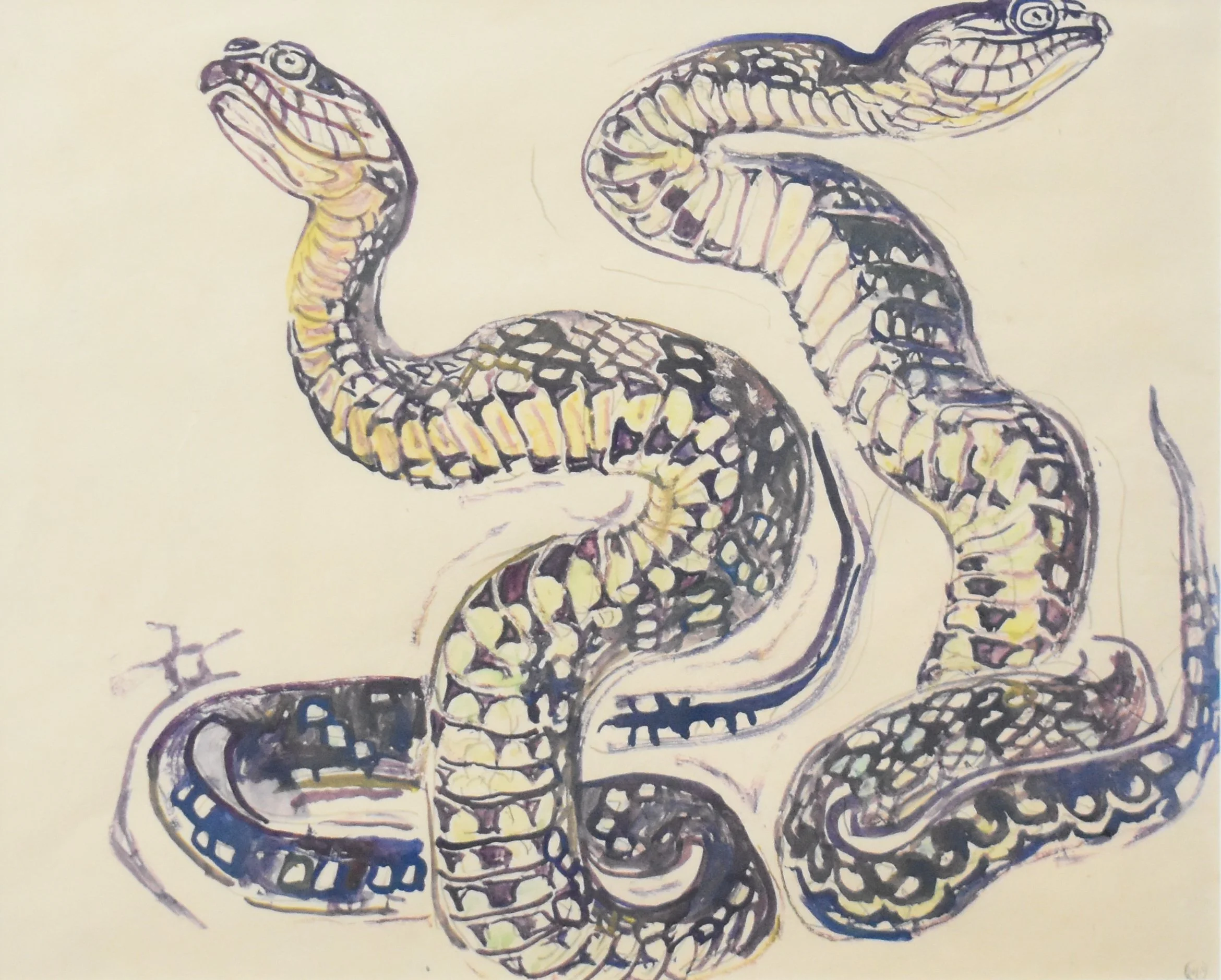 Walter Anderson Watercolors — Amanda Winstead