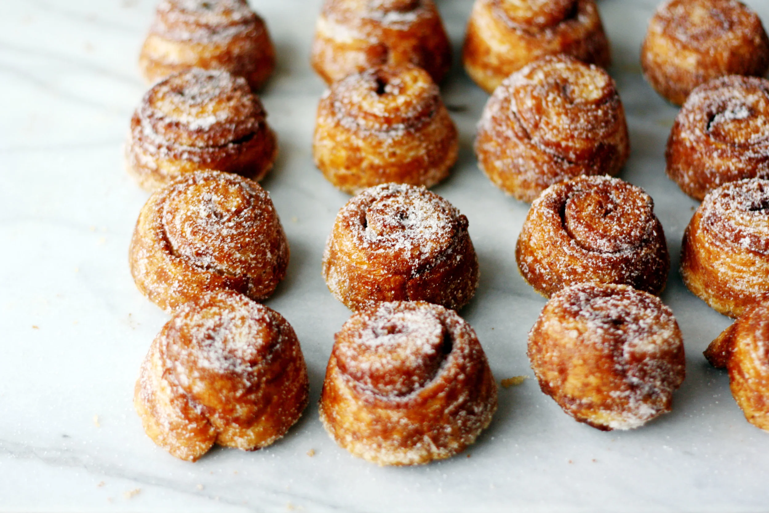 SUGAR BUNS — Tara O'Brady