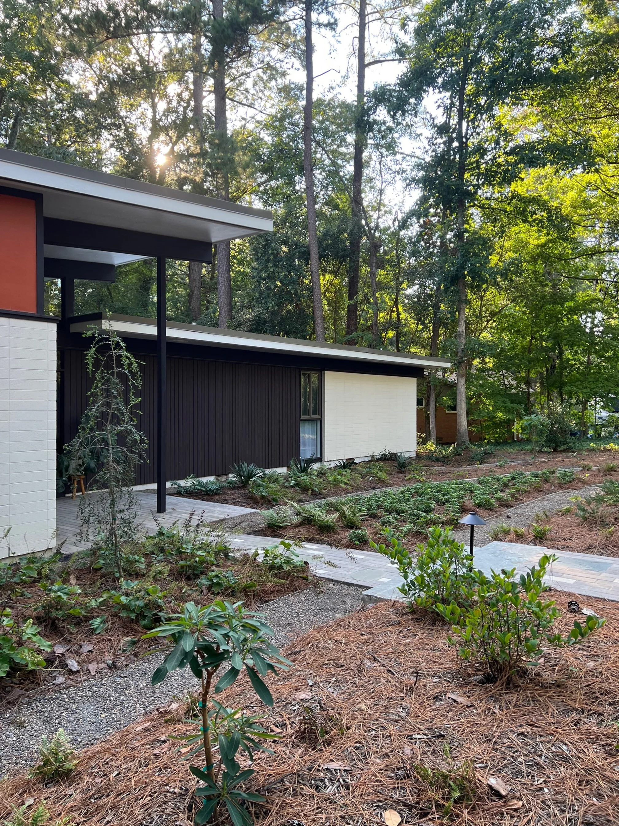 Duke Forest Midcentury — Design Bank