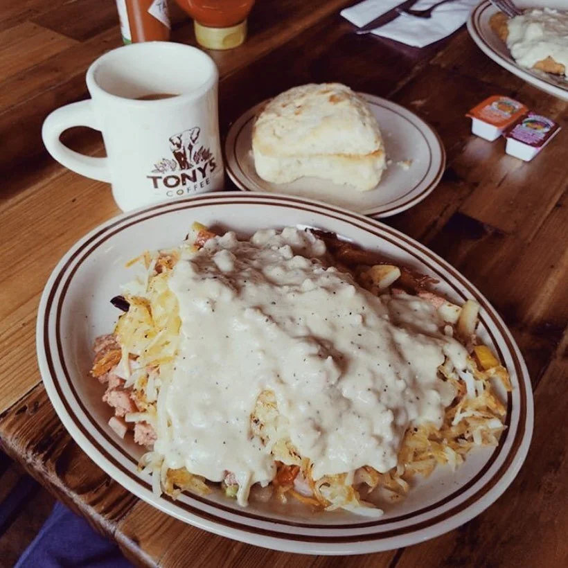 Big Y Cafe Big Y Cafe