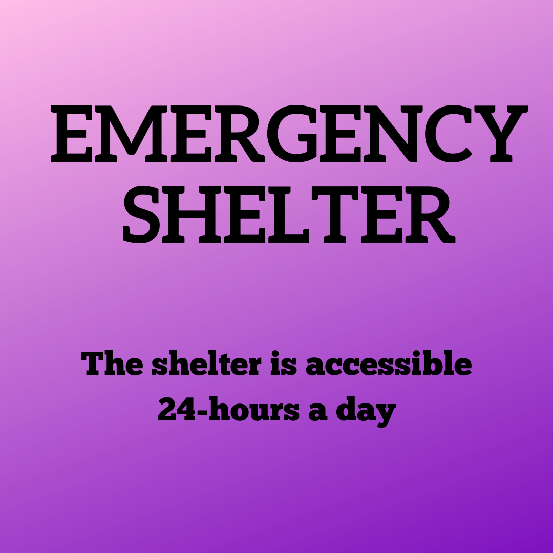 Shelter Services — Women in Safe Homes