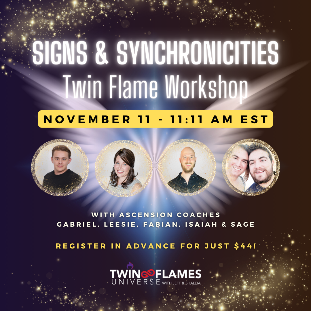 11/11 WORKSHOP!! — Twin Flames Heart's Desire