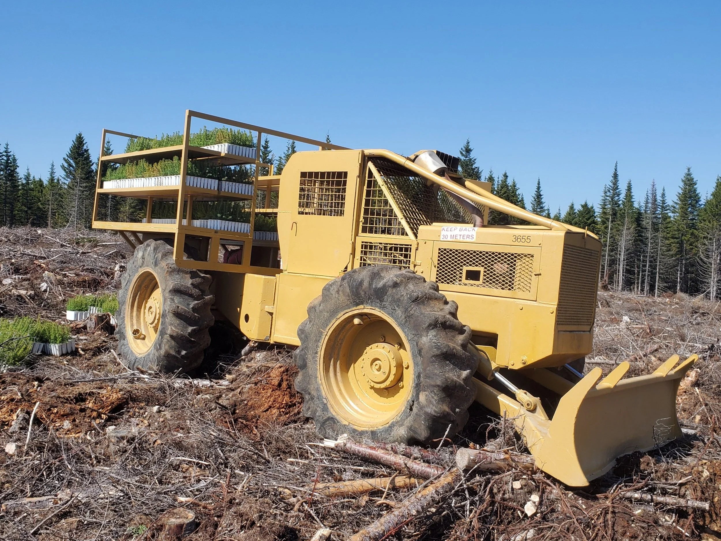 Where We Work — Brinkman Reforestation