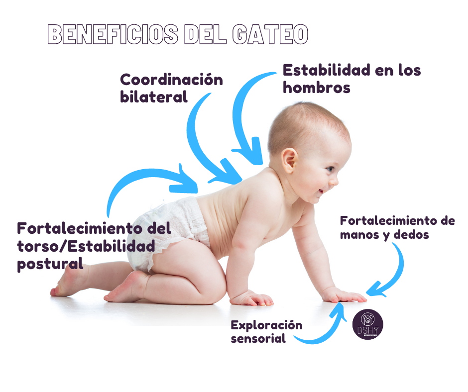 Gateo, ¿Y qué pasa si no quiere gatear? — Baby Stella Helps You