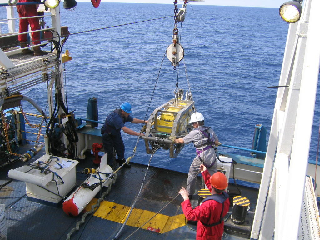 Williamson & Associates